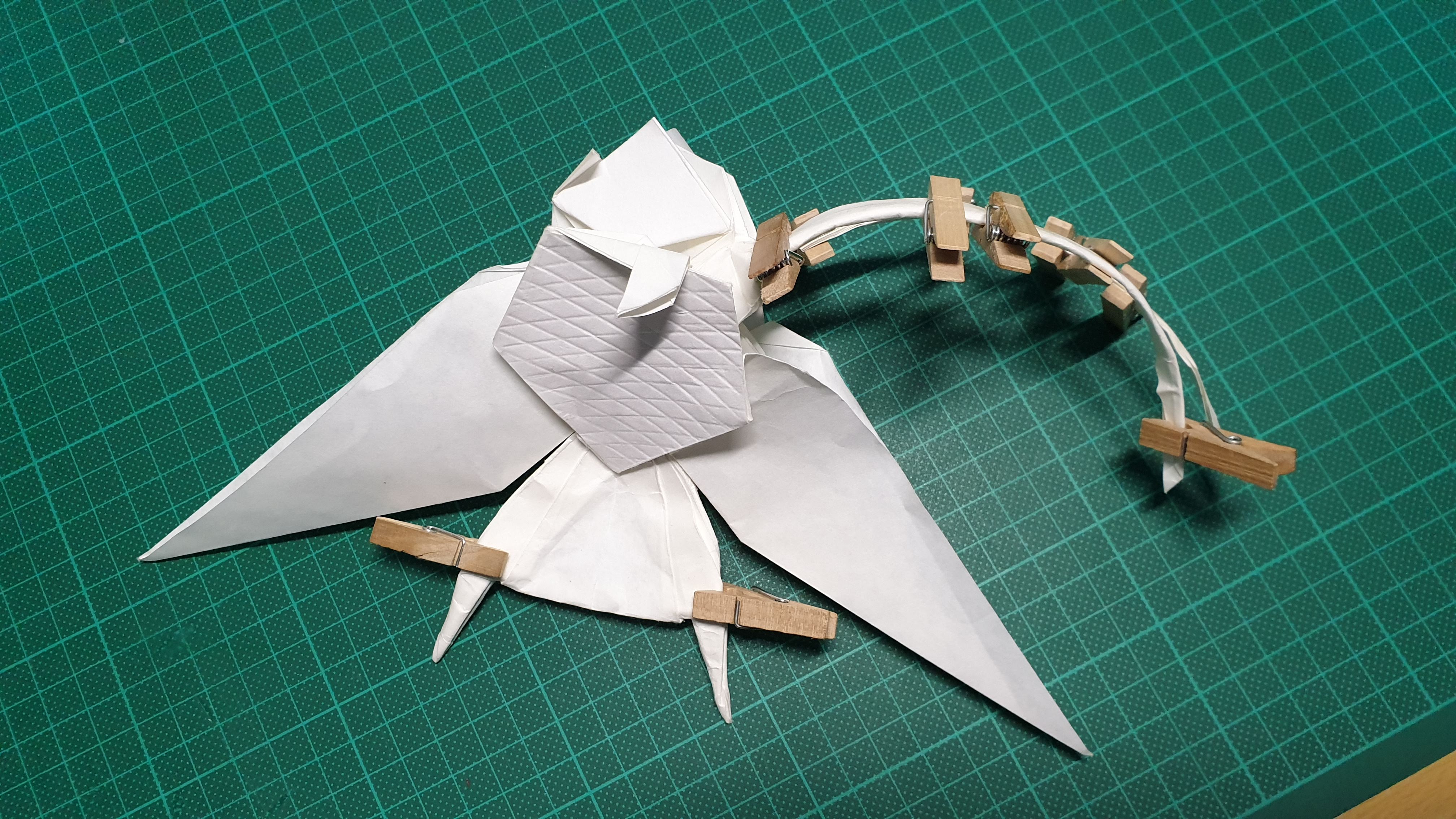 Angelfish (Pterophyllum scalare), 2021 - Tsai Origami