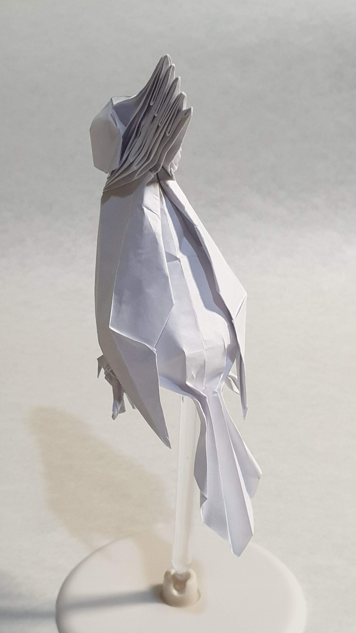 Cockatoo (family Cacatuidae), 2017 - Tsai Origami