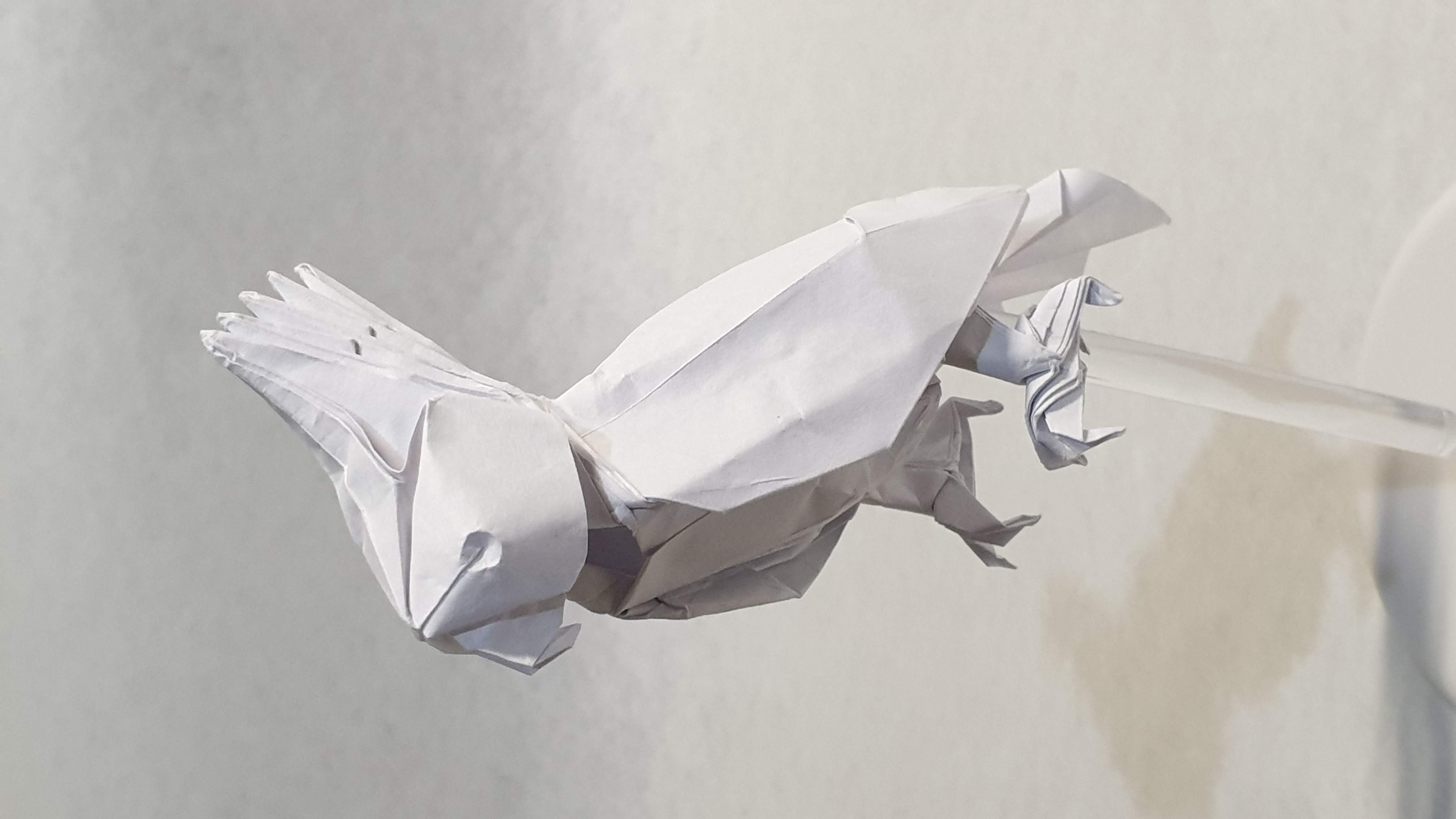 Cockatoo (family Cacatuidae), 2017 - Tsai Origami