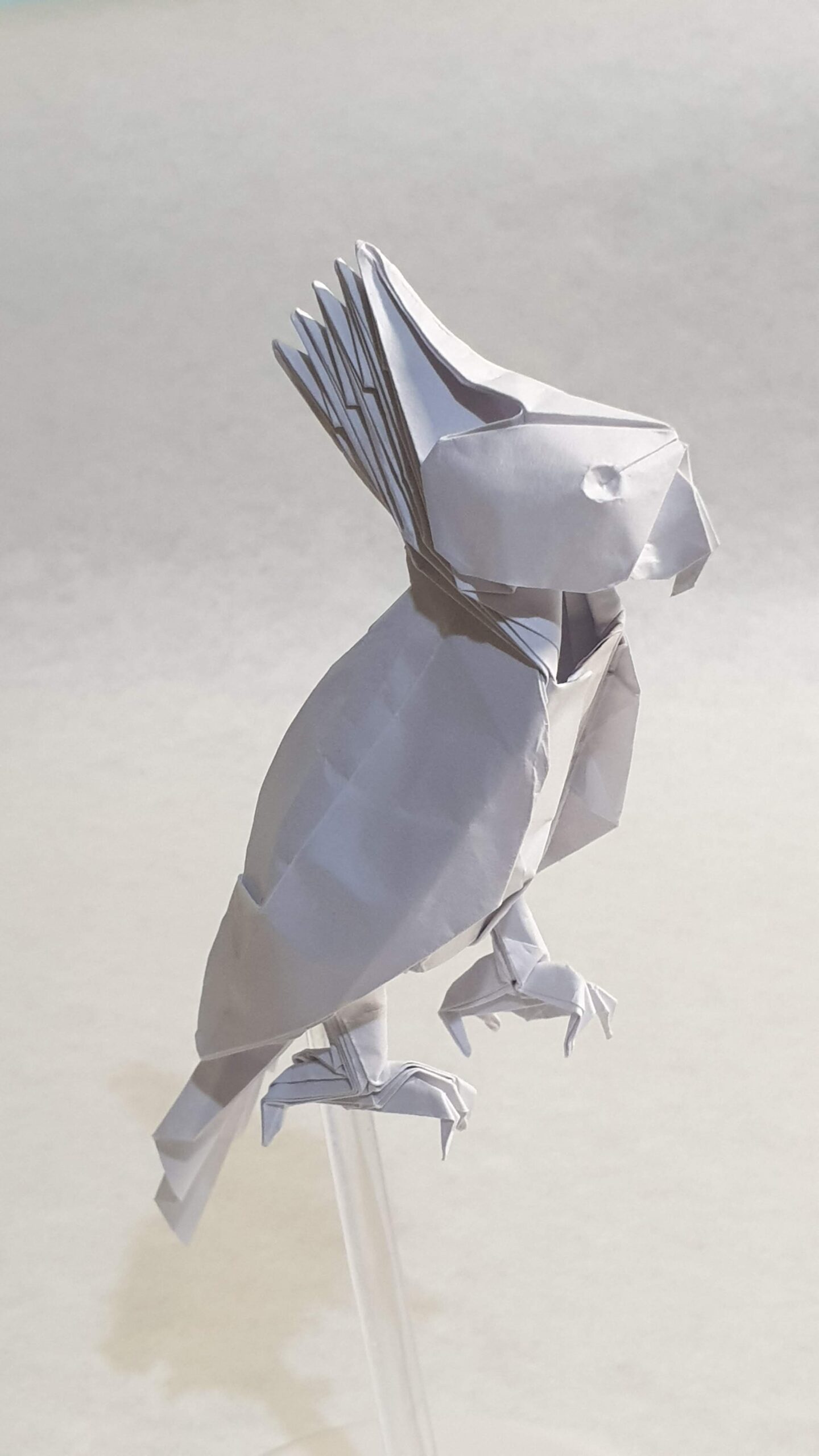 Cockatoo (family Cacatuidae), 2017 - Tsai Origami