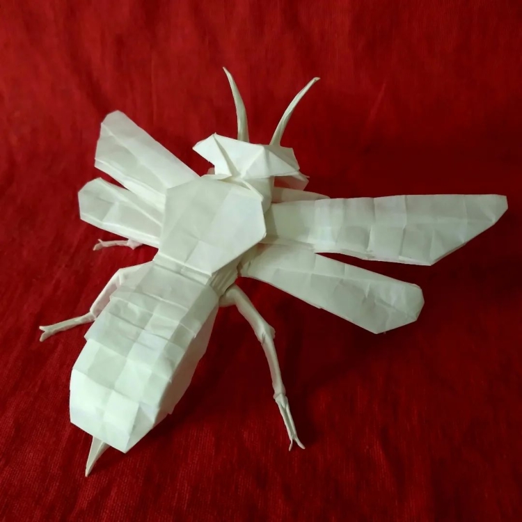 The story of Box Pleating Studio - Tsai Origami