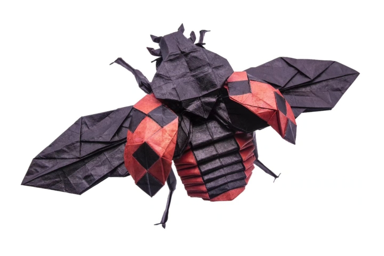 The story of Box Pleating Studio - Tsai Origami